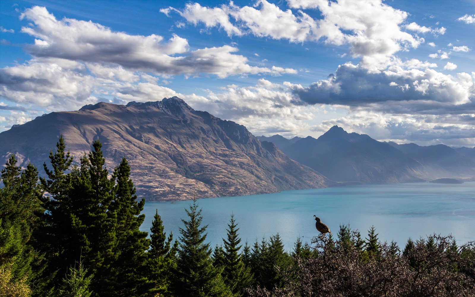 Sleeping Giant – Ben Pascoe